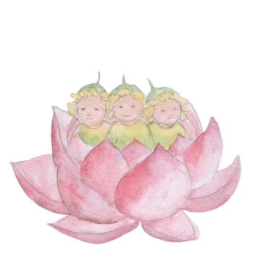 Home - my little flower buds